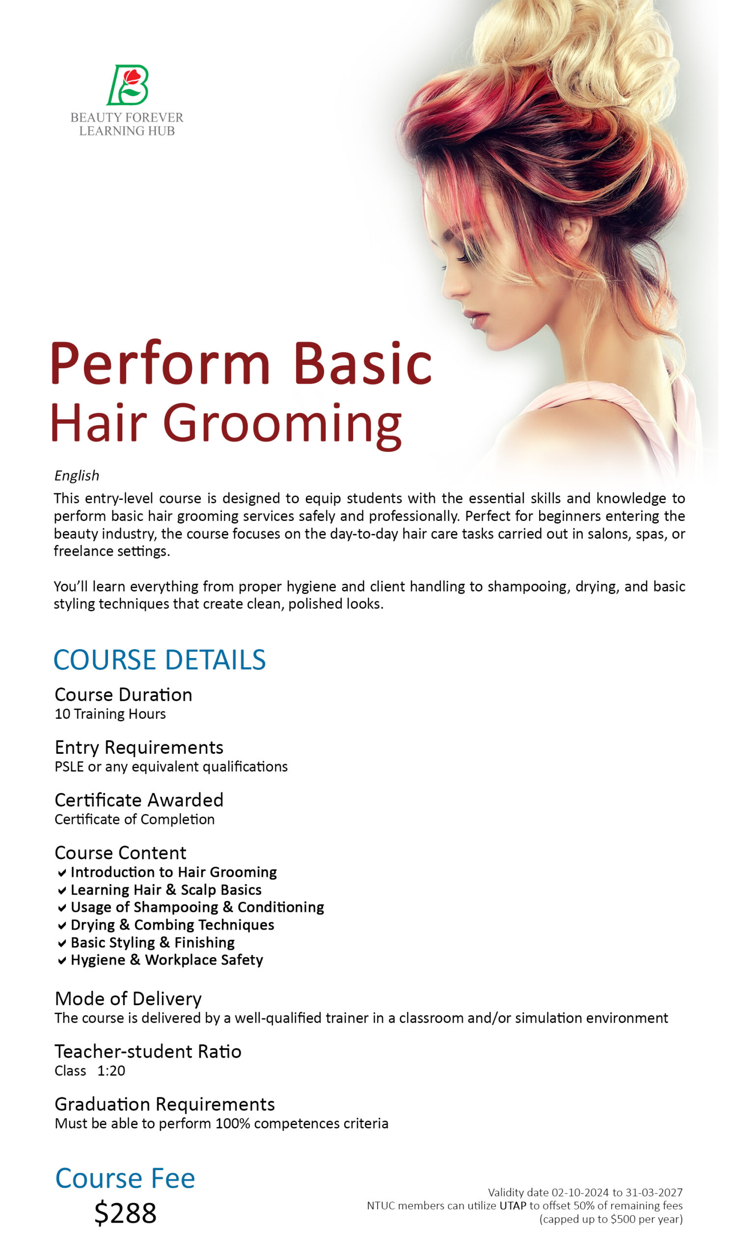Perform Basic Hair Grooming